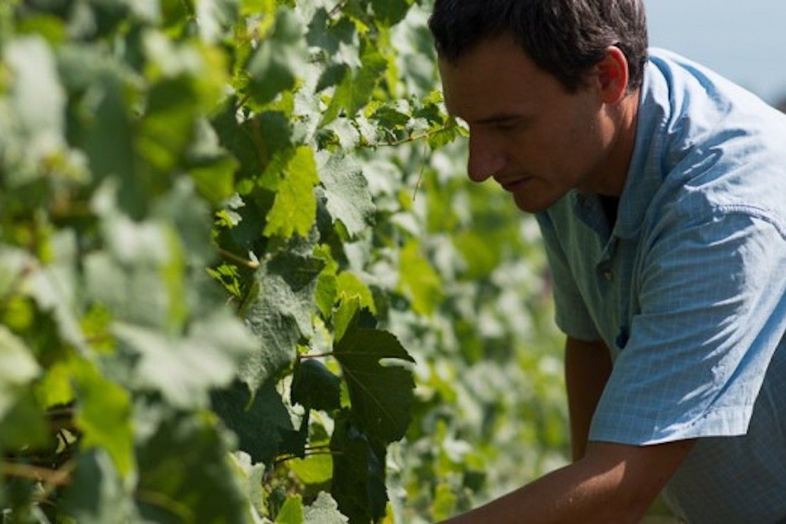 Devenir vigneron, c’est tout un parcours ! - berthet-vins.ch